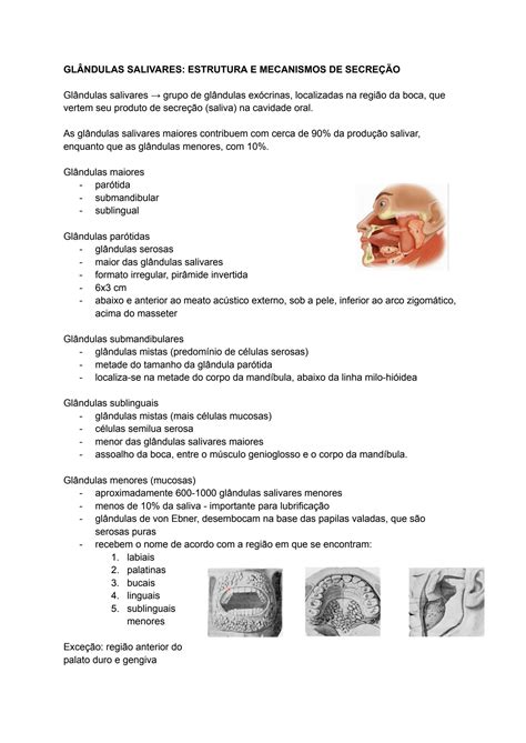 SOLUTION Aula 7 Gl Ndulas Salivares Estrutura E Mecanismos De Secre O