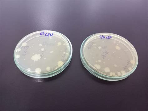 Waseem Humayun On Linkedin Microbiologist Qualityassurance Qualityassurance Laboratory