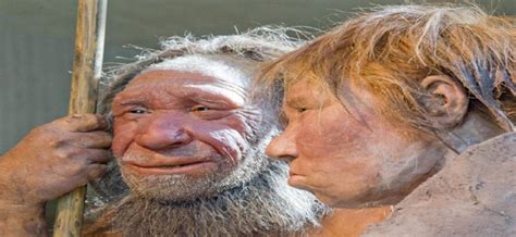Compassion Helped Neanderthals To Survive Study