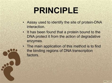 Dna Footprinting Ppt