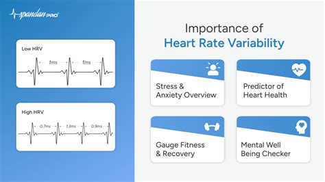 Why You Should Care About Heart Rate Variability