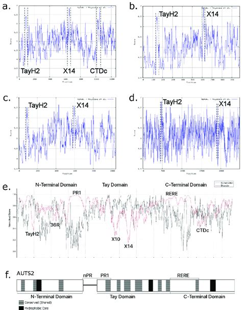 Putative Domain Structure For AUTS2 A D Hydrophobicity Plots A