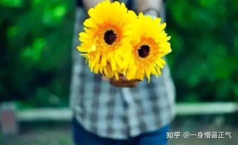 人存在的意义是什么？ 知乎