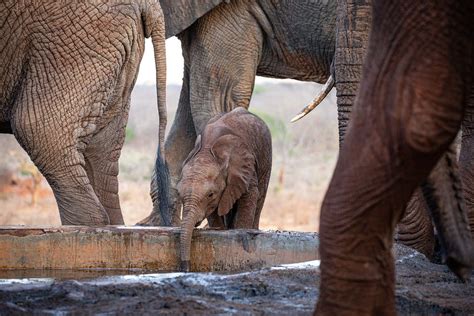 Welcoming Wendis New Daughter Wimbi