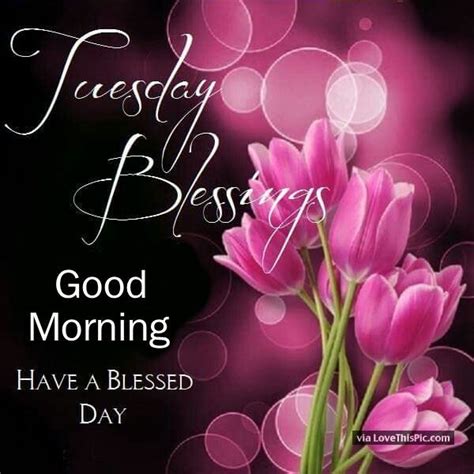 Tuesday Blessings Good Morning Have A Blessed Day Happy Tuesday Quotes Good Morning Tuesday