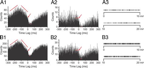 Detection Of Cs Mediated Inhibition Does Not Require Cn Neurons To Be Download Scientific