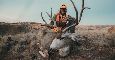 Mule Deer Breakdown A Month By Month Look At Where To Find Bucks