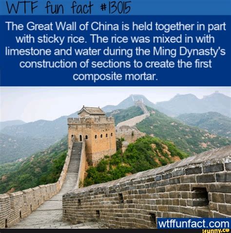 Wtf Fun Fact 305 The Great Wall Of China Is Held Together In Part With