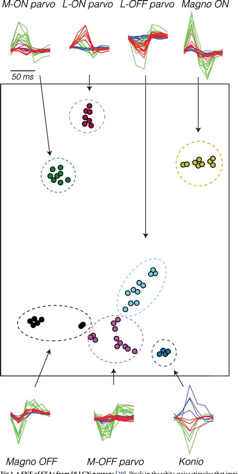 Figure 1 From Temporal Information Loss In The Macaque Early Visual System Semantic Scholar
