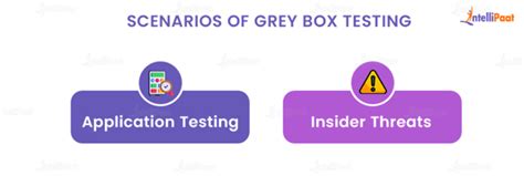 Grey Box Testing Techniques Examples And More Intellipaat