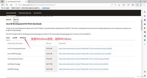 JDK17下载及配置环境变量 jdk17配置环境变量配置 CSDN博客