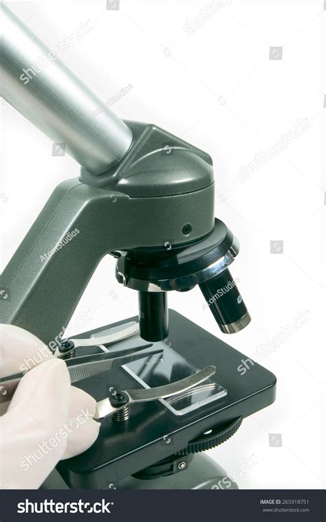Scientist Places Particles Under Microscope Stock Photo Shutterstock