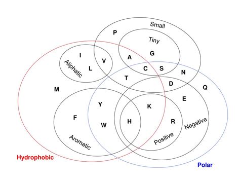 Ppt A Hidden Markov Model For Protein Secondary Structure Prediction Powerpoint Presentation