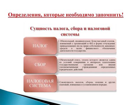 Система налогов и сборов РФ понятие функции налогов и их виды