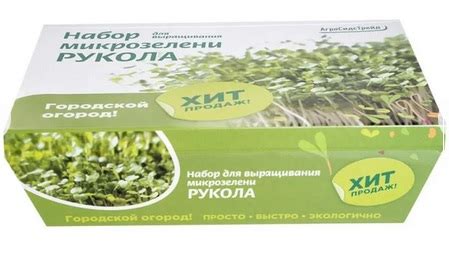 Набор для выращивания микрозелени Рукола, АгроСидсТрейд | отзывы