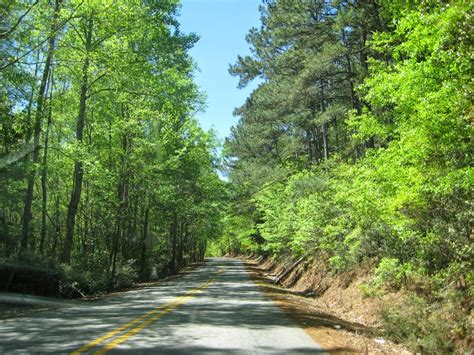 2015 Warm Springs Fdr State Park