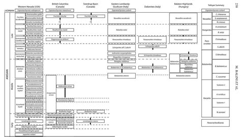 Figure 11 Triassic Ammonoid Biostratigraphy An Overview