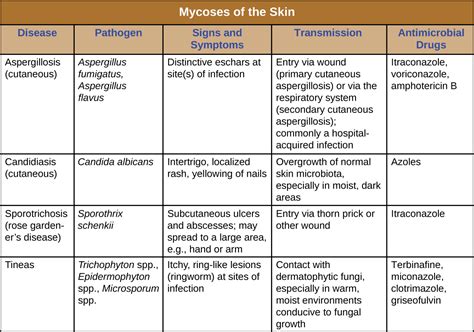 214 Mycoses Of The Skin And Eyes Biology Libretexts