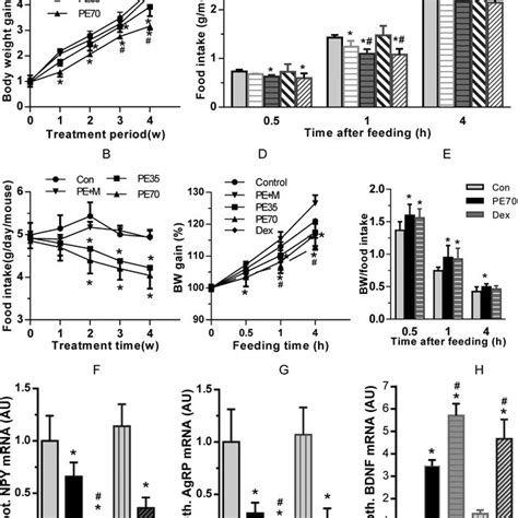 The Regulation Of Pe On Food Intake Body Weight Gain And Hypothalamic