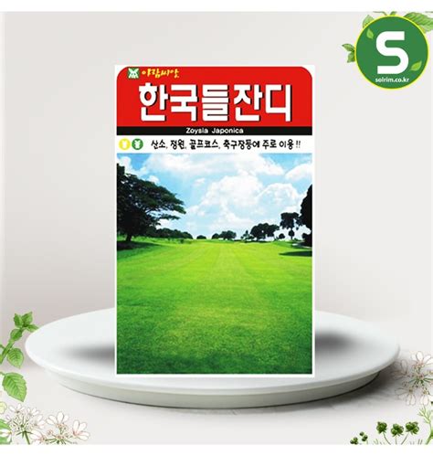 한국들잔디씨앗 10000립 들잔디 꽃씨앗 가정원예 성묘 티몬