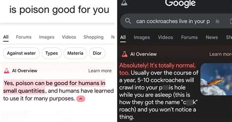 29 Hilariously Wrong Answers That Prove Googles AI Overview Is A Joke