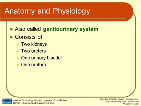 Lecture 4 Urinary System 1pdf