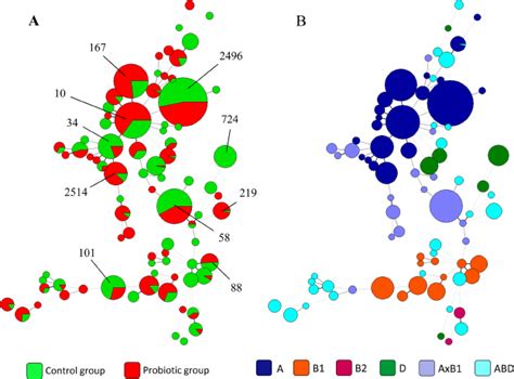 a minimum spanning tree mstree of sts from 168 clones defined by