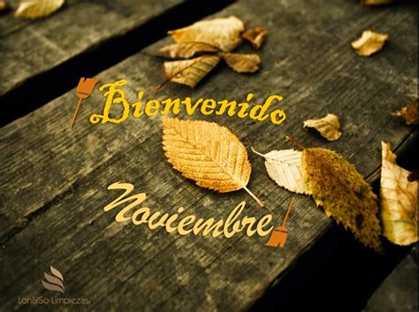 Lon So Limpiezas Bienvenido Noviembre