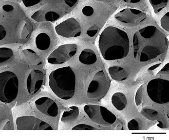 Futuristic Cellular Structure Architecture