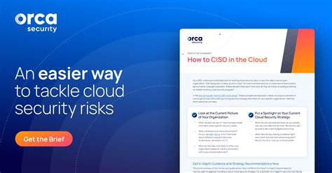 Orca Security On Linkedin How To Ciso In The Cloud Executive Summary