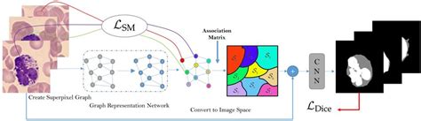 The Framework Of Our Proposed Smgnn For Medical Image Segmentation Download Scientific Diagram