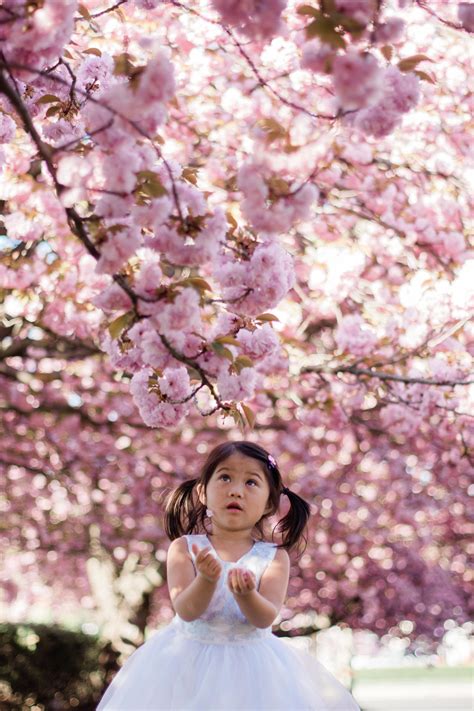 Washington Dc Cherry Blossom Photos Mini Session Sea Of Blush