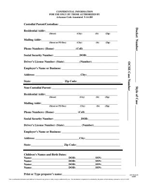 P Visa Application Form Pdf Fill Out Sign Online DocHub