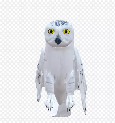 猫头鹰鸟夹艺术 动物水彩PNG图片素材下载 图片编号827415 PNG素材网