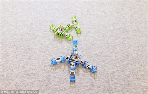 Amsterdam Researchers Create Machines That Mate Over Wifi To Create A D Printed Baby Daily