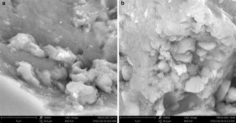 Surface Morphology Of A Sio2 Mw B So4sio2 20550 Download