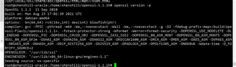 Ubuntu Openssh Ssh Ssh