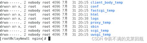 Nginx学习教程（基础篇） Csdn博客