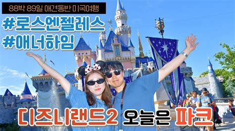 디즈니랜드 파크에 가다 스타워즈 팬들은 꼭 가세요 애너하임 엘에이 미국 애견동반x Youtube