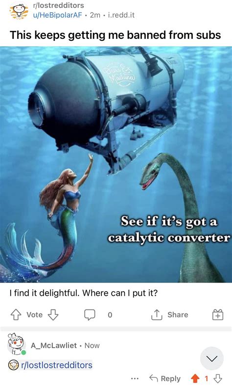 Lost Redditor In The Wild Rlostlostredditors