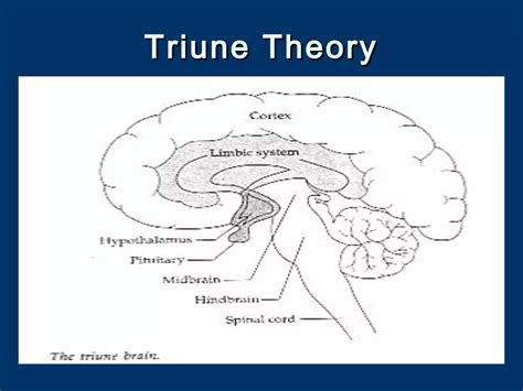 Triune Theory 3333 Ppt