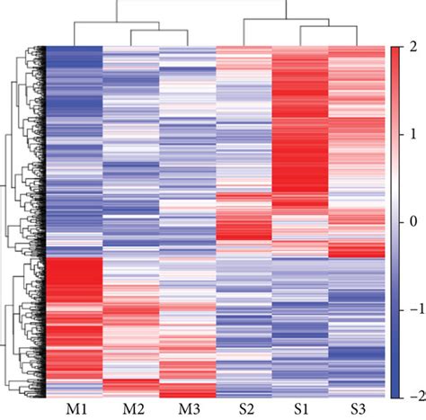High Throughput Sequencing Of Differentially Expressed Mrnas A