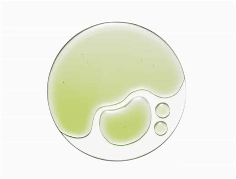 L Acide hyaluronique en cosmétique hydratant et repulpant