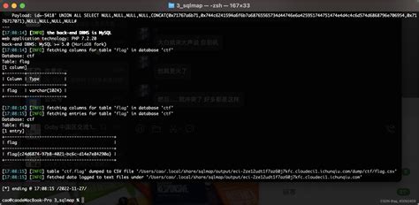 CVE 2022 28512 Fantastic Blog CMS CSDN博客