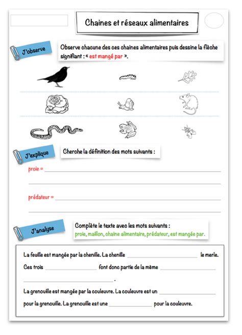 Chaines et réseaux alimentaires Le blog du Cancre Teaching Nicolas