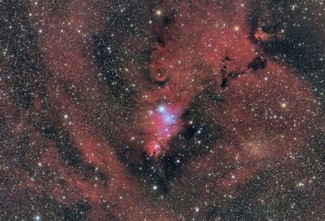 92363 NGC2264クリスマスツリー星団とコーン星雲いっかくじゅう座 by T Kagawa 天体写真ギャラリー