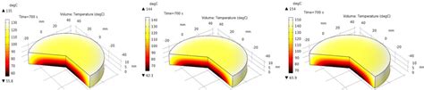Figure 2 From Simultaneous Heat And Mass Transfer Modeling For Frozen