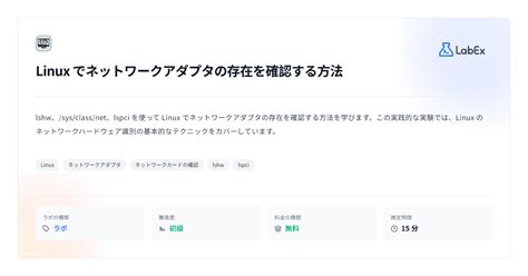 Linux でネットワークアダプタの存在を確認する方法 Labex Linux でネットワークアダプタの存在を確認する方法 Labex
