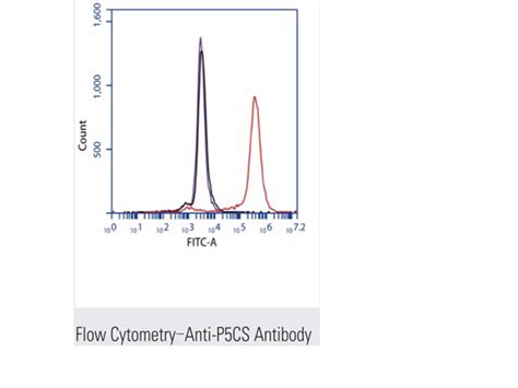 Monoclonal Marco Antibody Mybiosource