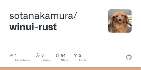 GitHub Sotanakamura Winui Rust